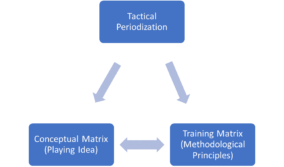» Understanding the Tactical Periodization Methodology