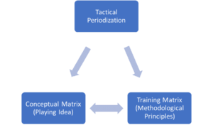 » Understanding the Tactical Periodization Methodology