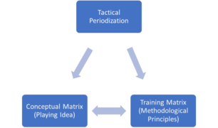 » Understanding the Tactical Periodization Methodology