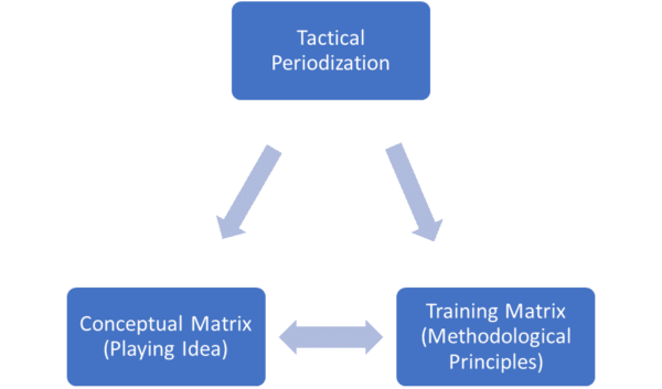 » Understanding the Tactical Periodization Methodology
