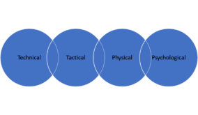 » Understanding the Tactical Periodization Methodology