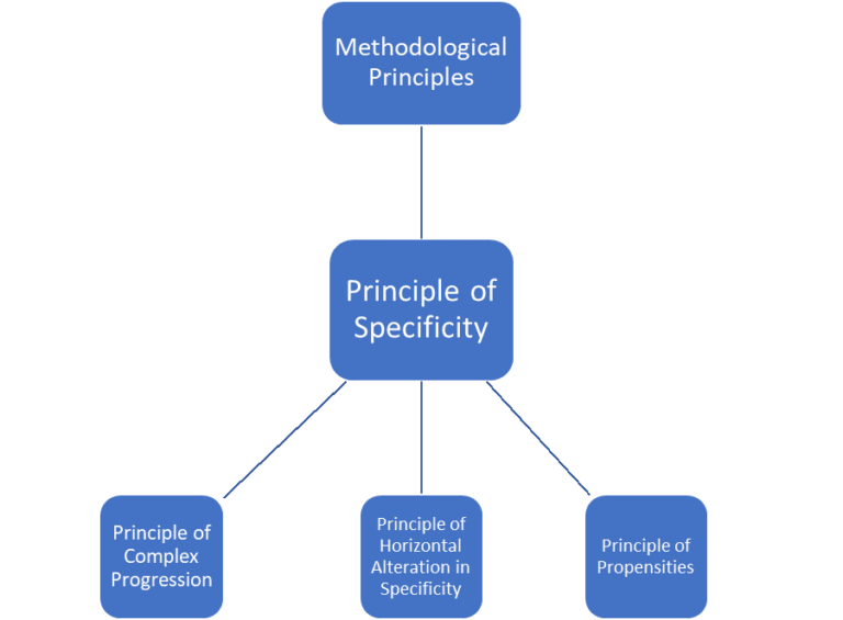 » Understanding the Tactical Periodization Methodology