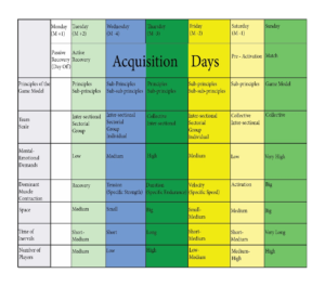 » Understanding the Tactical Periodization Methodology
