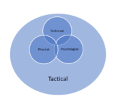 » Understanding the Tactical Periodization Methodology