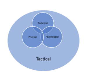 » Understanding the Tactical Periodization Methodology
